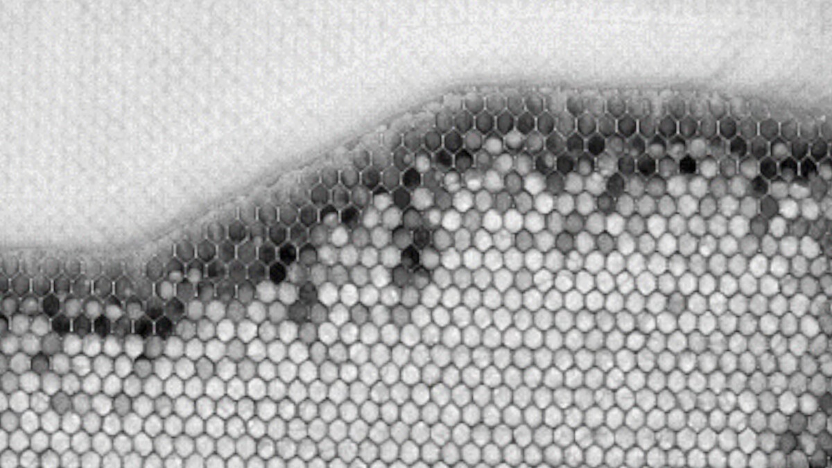 Industrial RT - VCxray Inspection Services Inspection Services